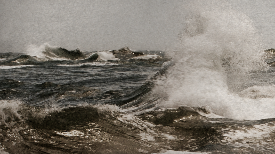 Virginia Woolf | De Studio