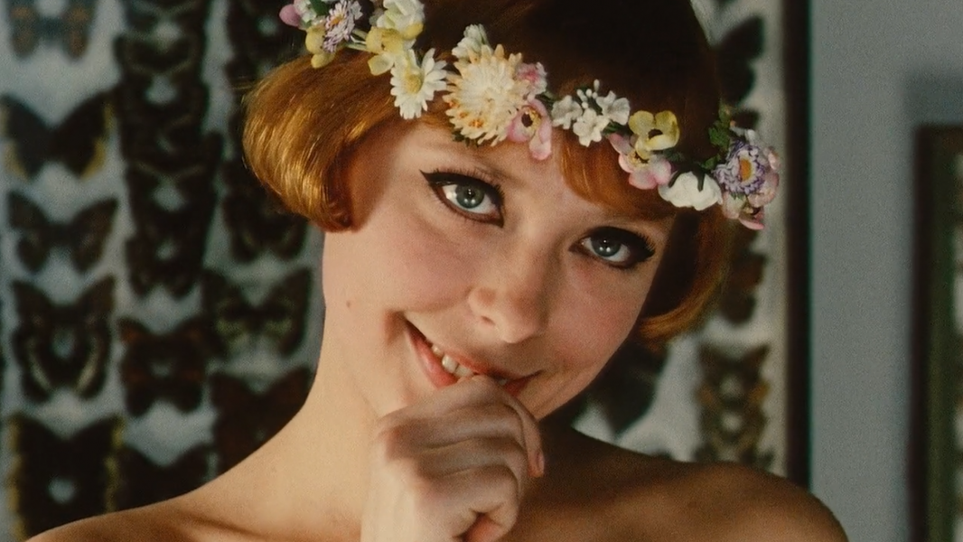 DE MADELIEFJES / DAISIES (SEDMIKRÁSKY) | De Studio